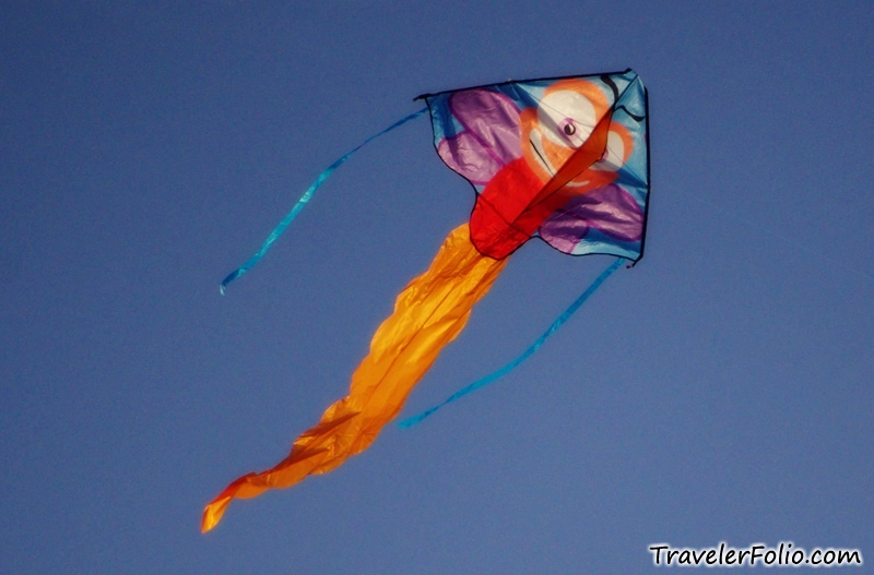 Go West Coast Park fly kite! - Travel Blog Singapore