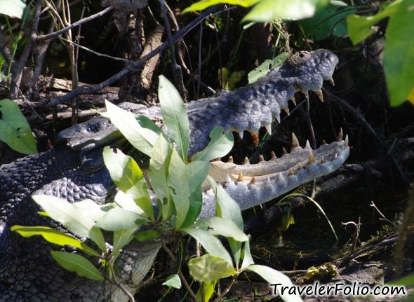 Kakadu National Park: World Famous Yellow Water Billabong - Travel Blog ...