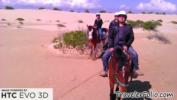 HTC EVO 3D escapade to Sydney - Horse Riding, Parasailing & Dolphin ...