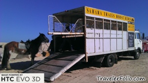 HTC EVO 3D escapade to Sydney - Horse Riding, Parasailing & Dolphin ...