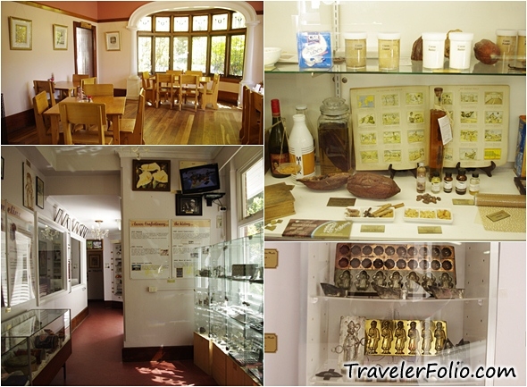 Tasmania Bay of Fires! - Travel Blog Singapore