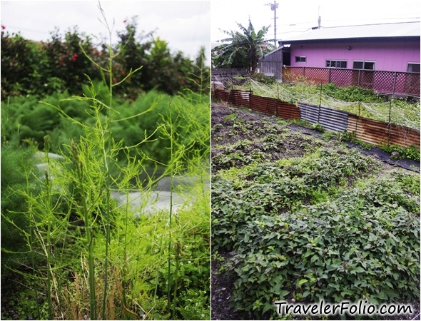 Okinawa - Hawaii of the East - Travel Blog Singapore