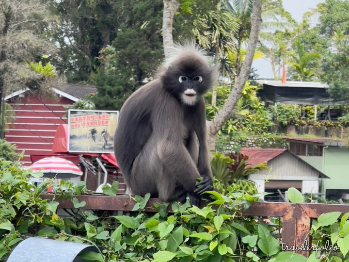 Penang Family Trip - Travel Blog Singapore