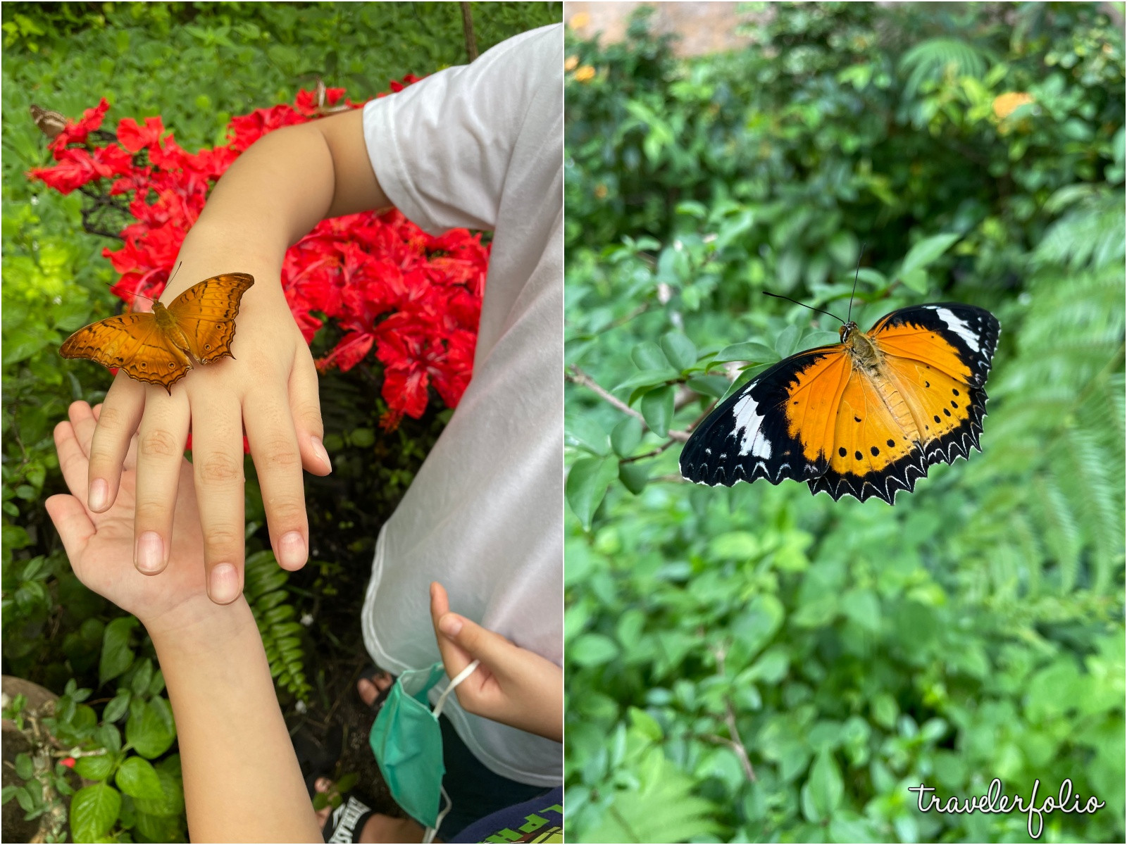 Penang Family Holiday - Travel Blog Singapore