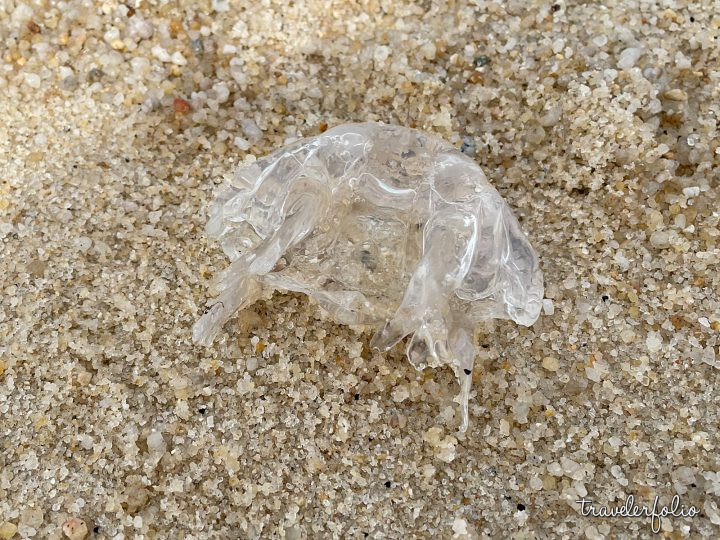 Penang Family Holiday - Travel Blog Singapore